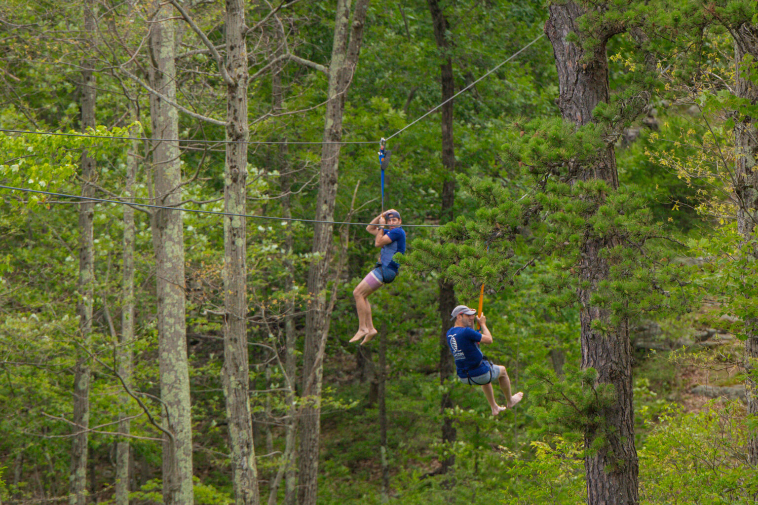 Casdin Capital - Team